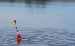 A Short Hike Fishing Guide:Unleash your fishing adventures in nature's ...